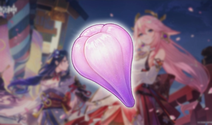 Semua Material Spesial yang Bisa Kamu Temukan di Inazuma Genshin Impact ...