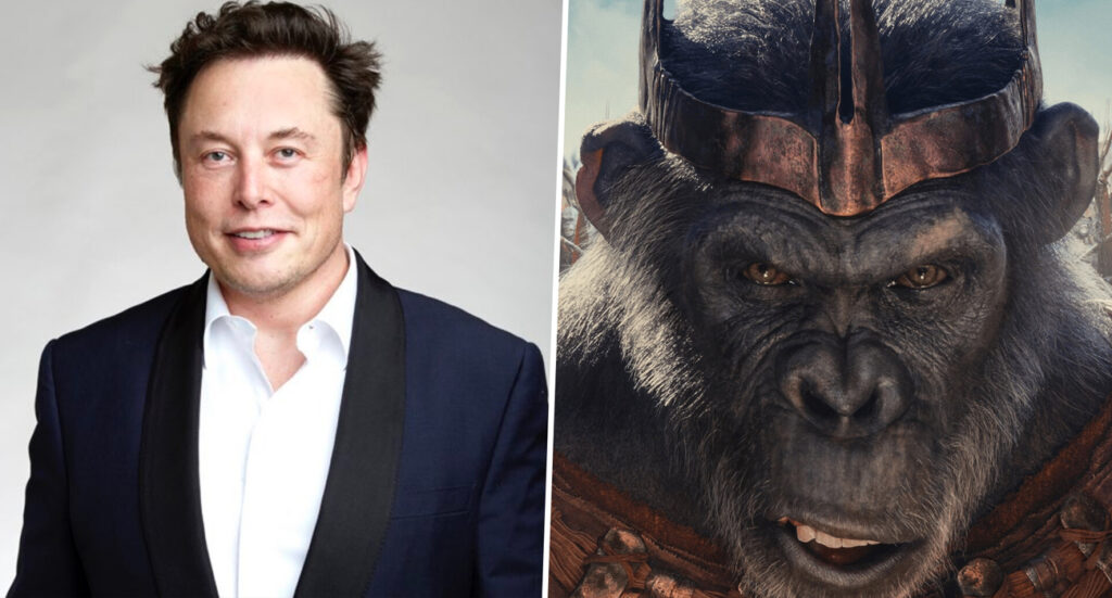 Proximus Caesar di Kingdom of the Planet of the Apes Ternyata ...